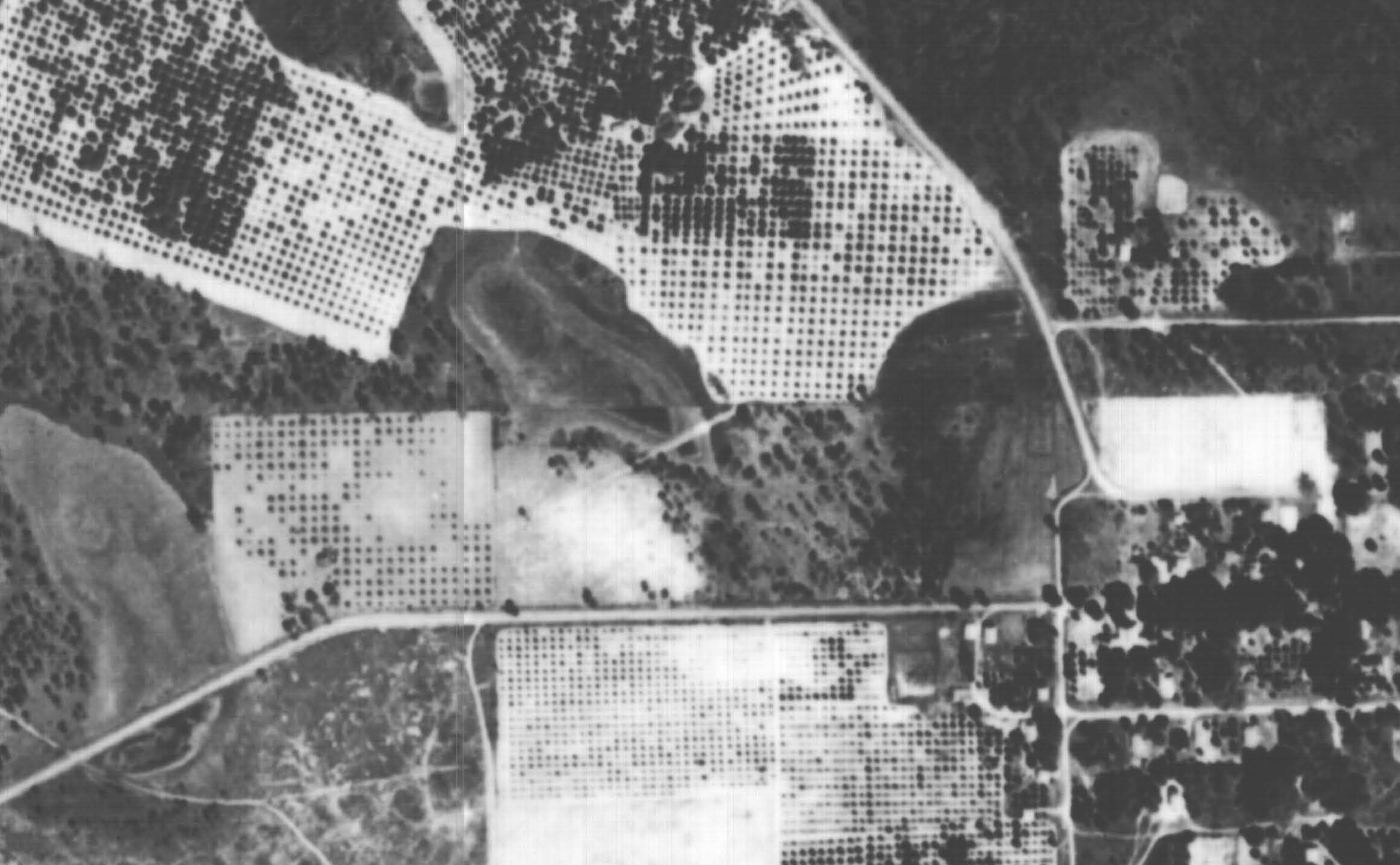 Reiter Park – Longwood Historic Society